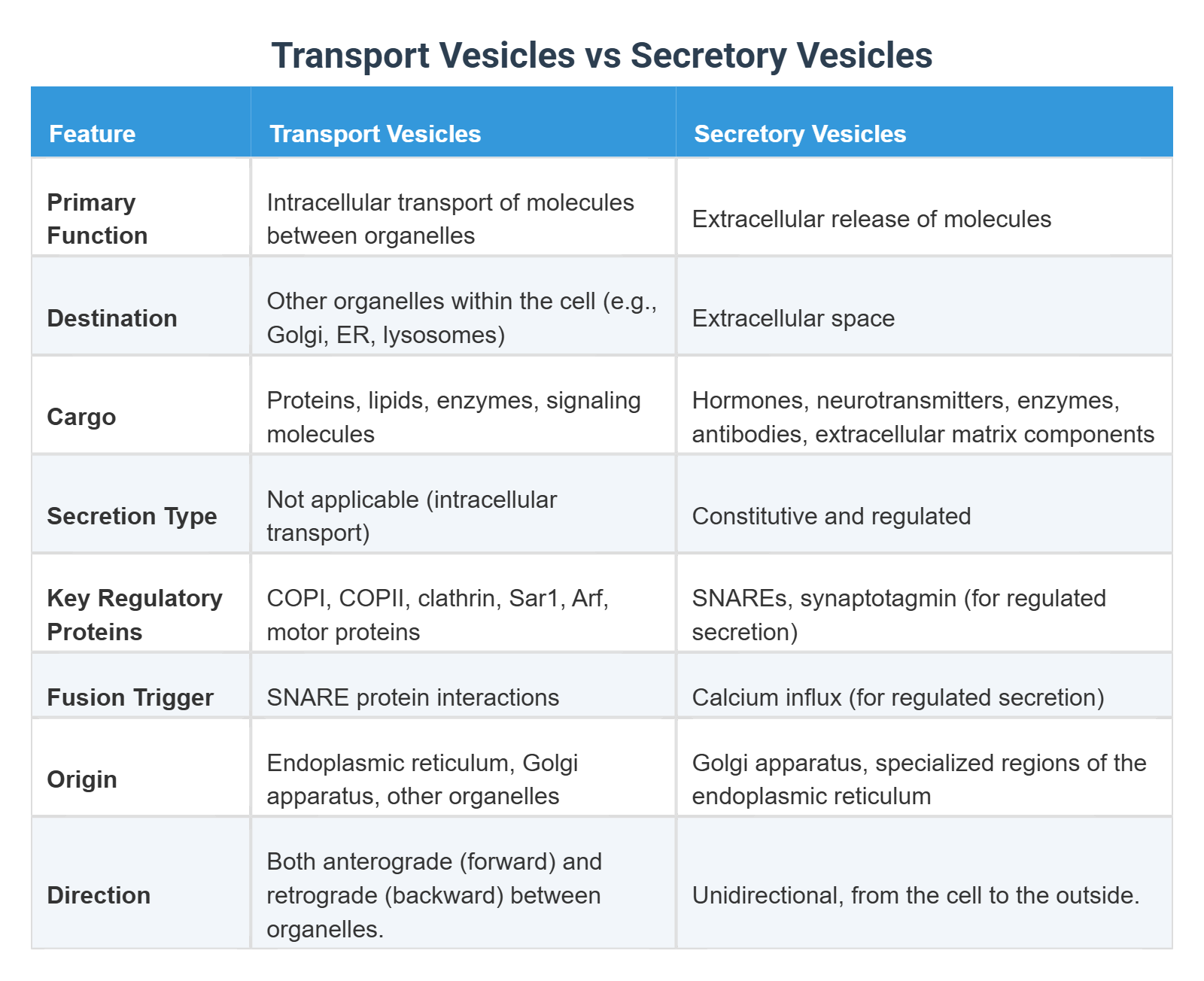 Transport Vesicles vs Secretory Vesicles