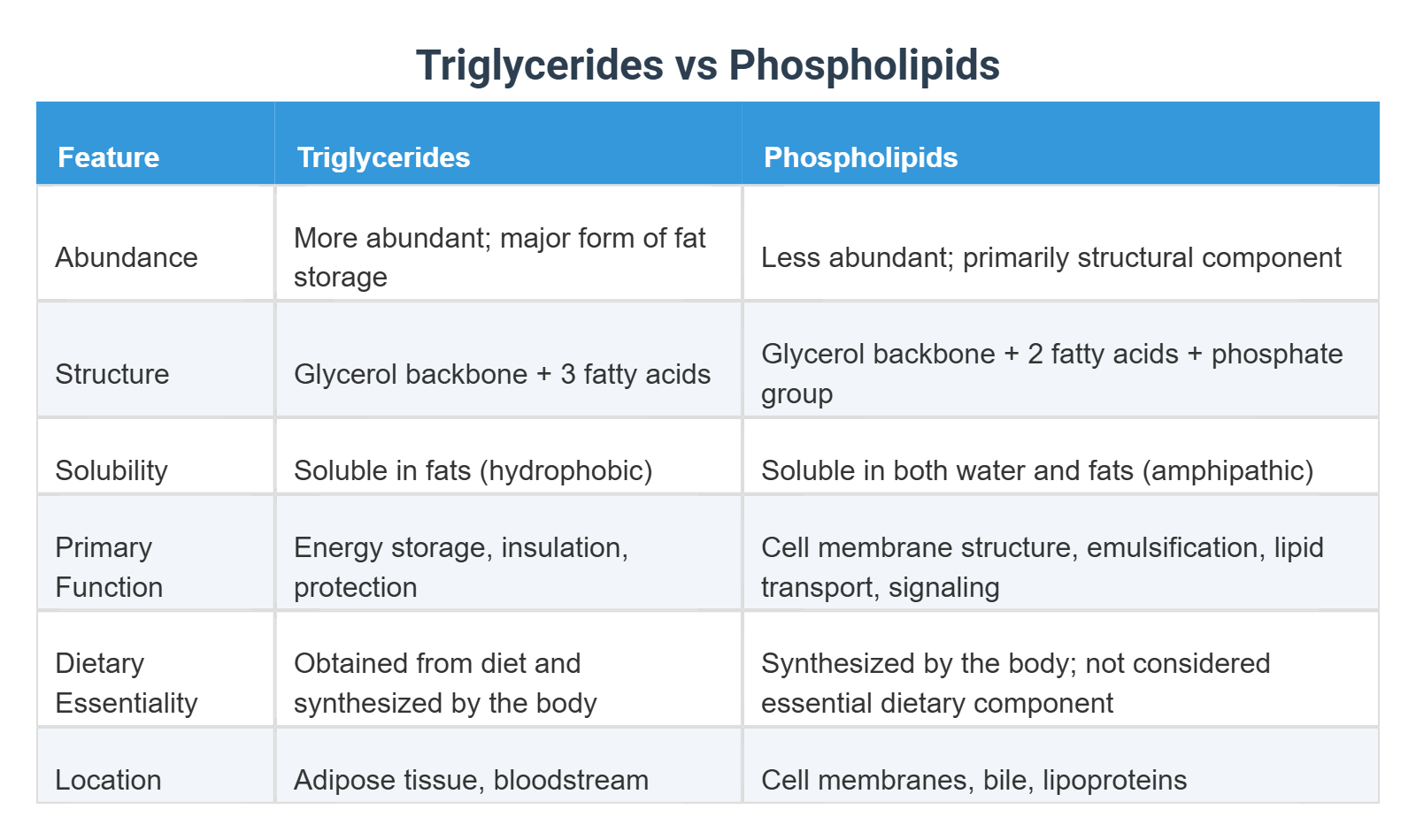 Triglycerides vs Phospholipids