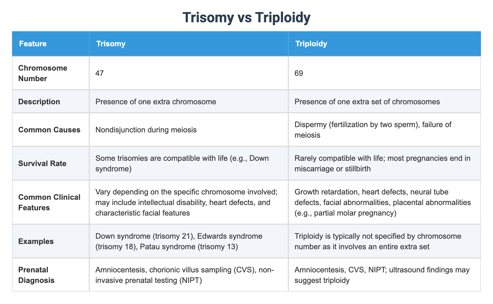Trisomy vs Triploidy