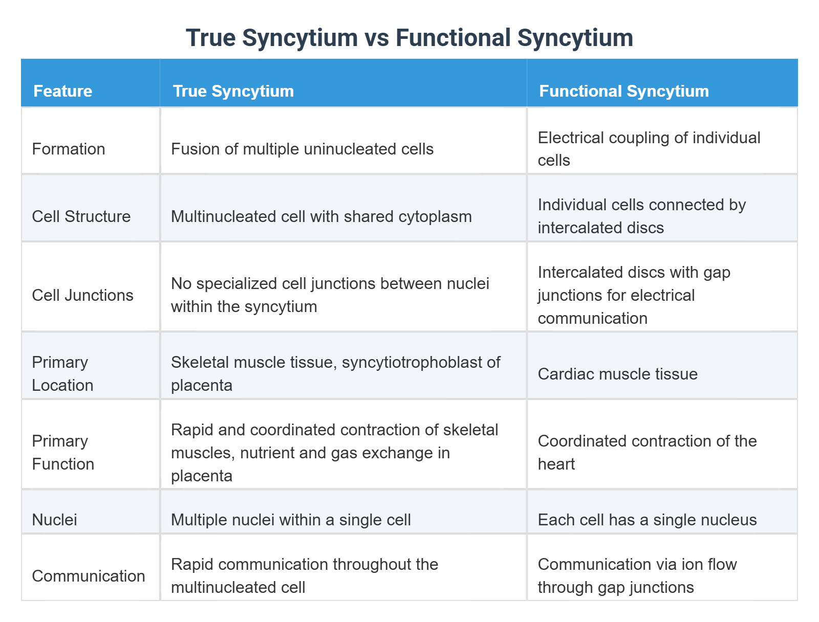 True Syncytium vs Functional Syncytium
