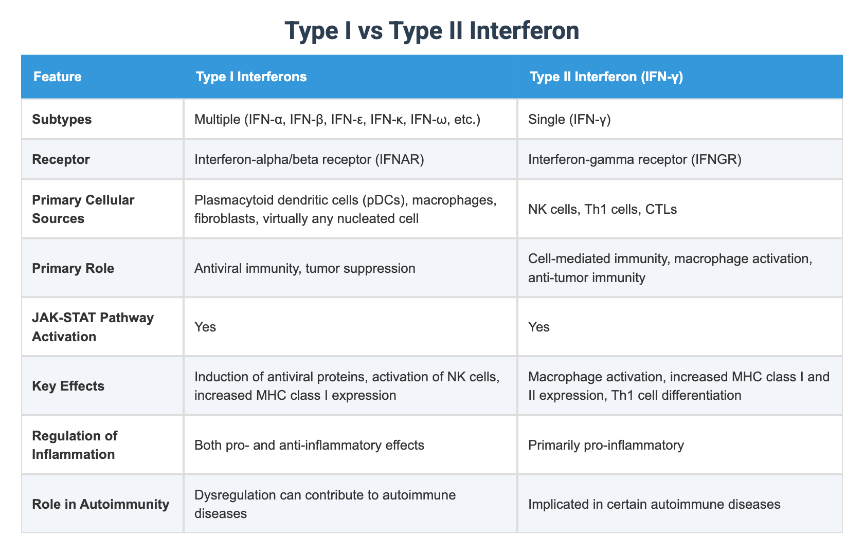 Type I vs Type II Interferon