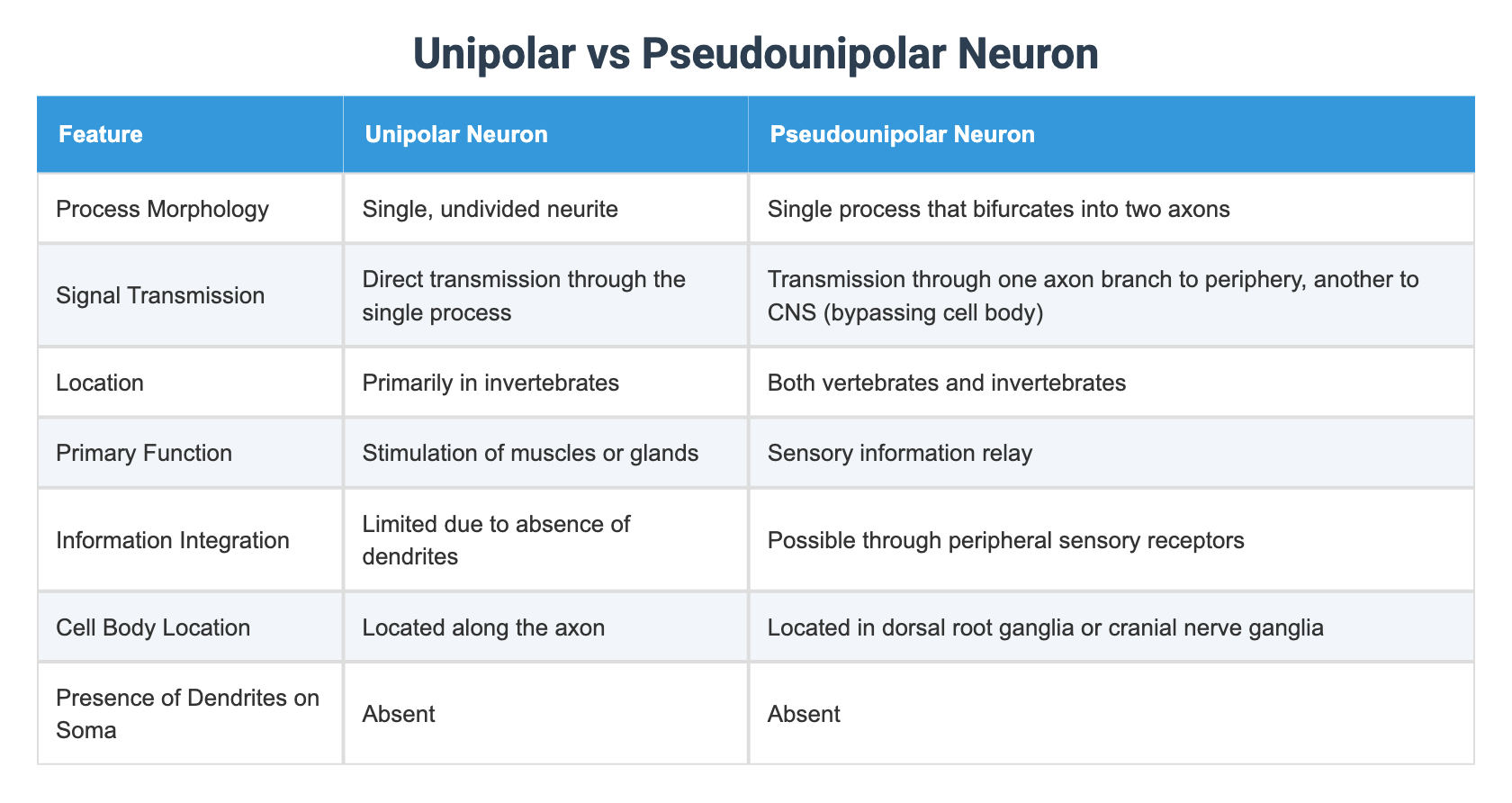 Unipolar vs Pseudounipolar Neuron