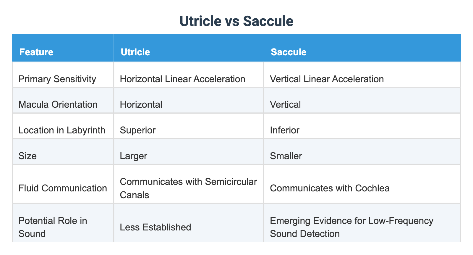 Utricle vs Saccule