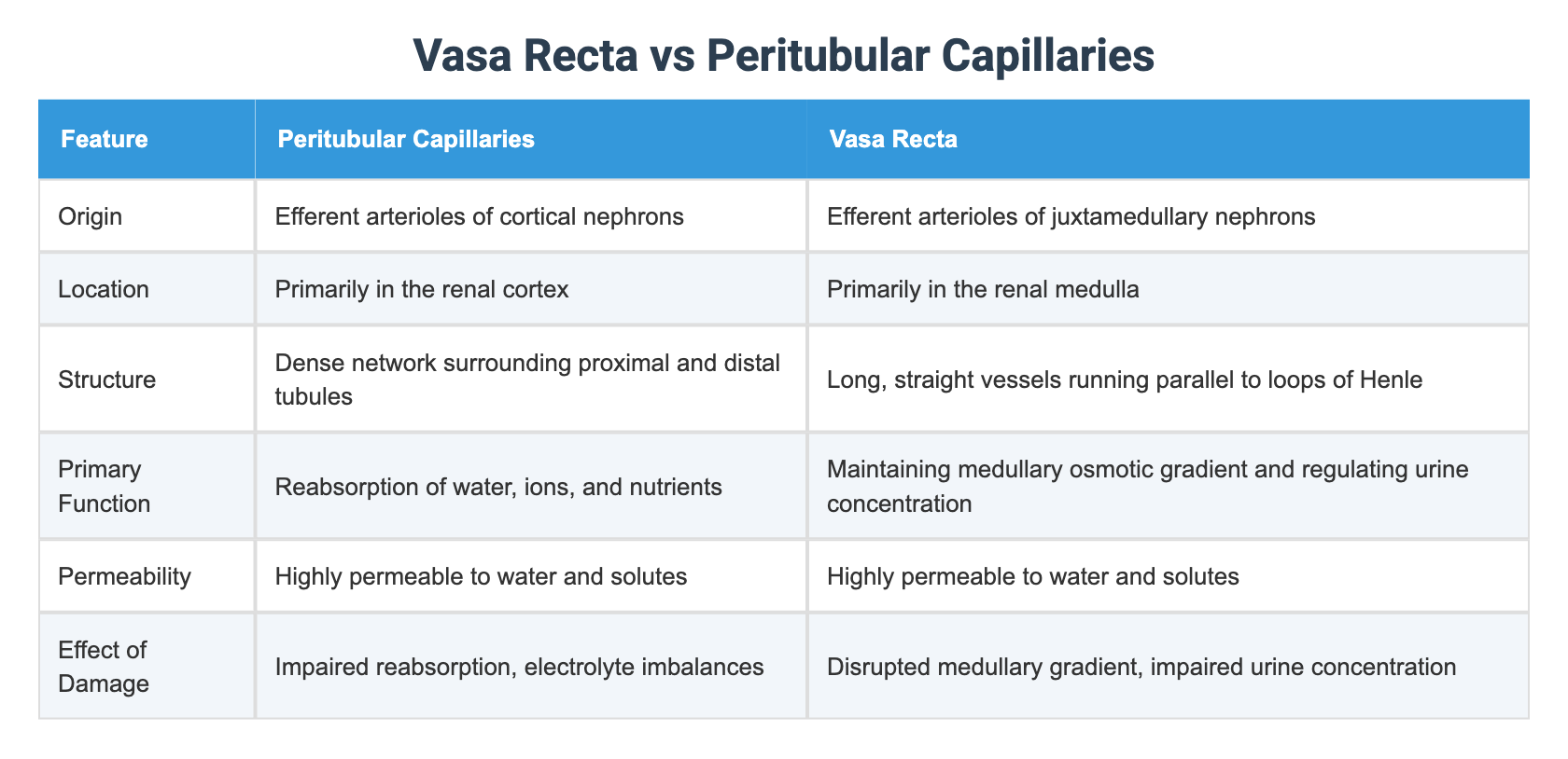 Vasa Recta vs Peritubular Capillaries
