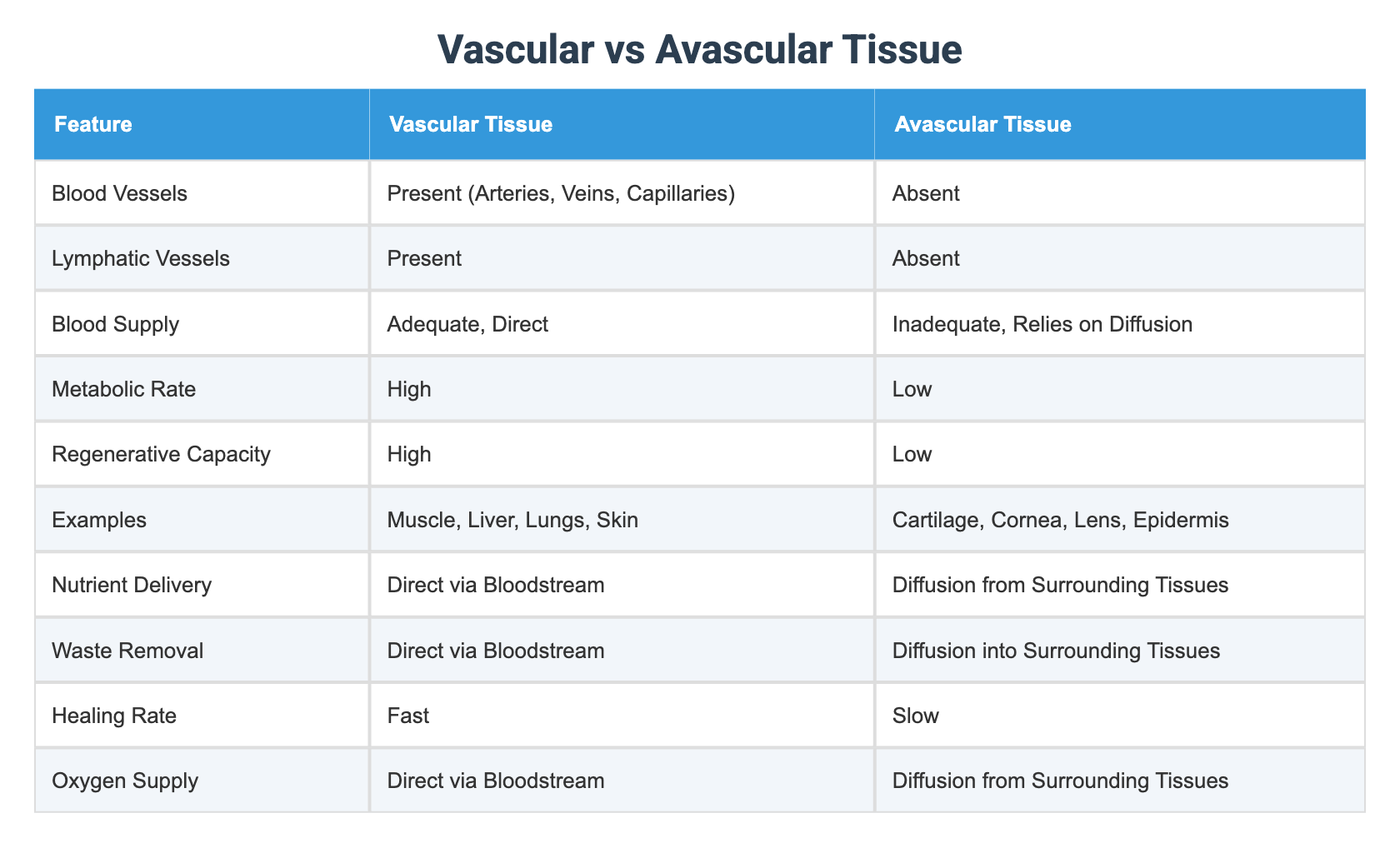 Vascular vs Avascular Tissue