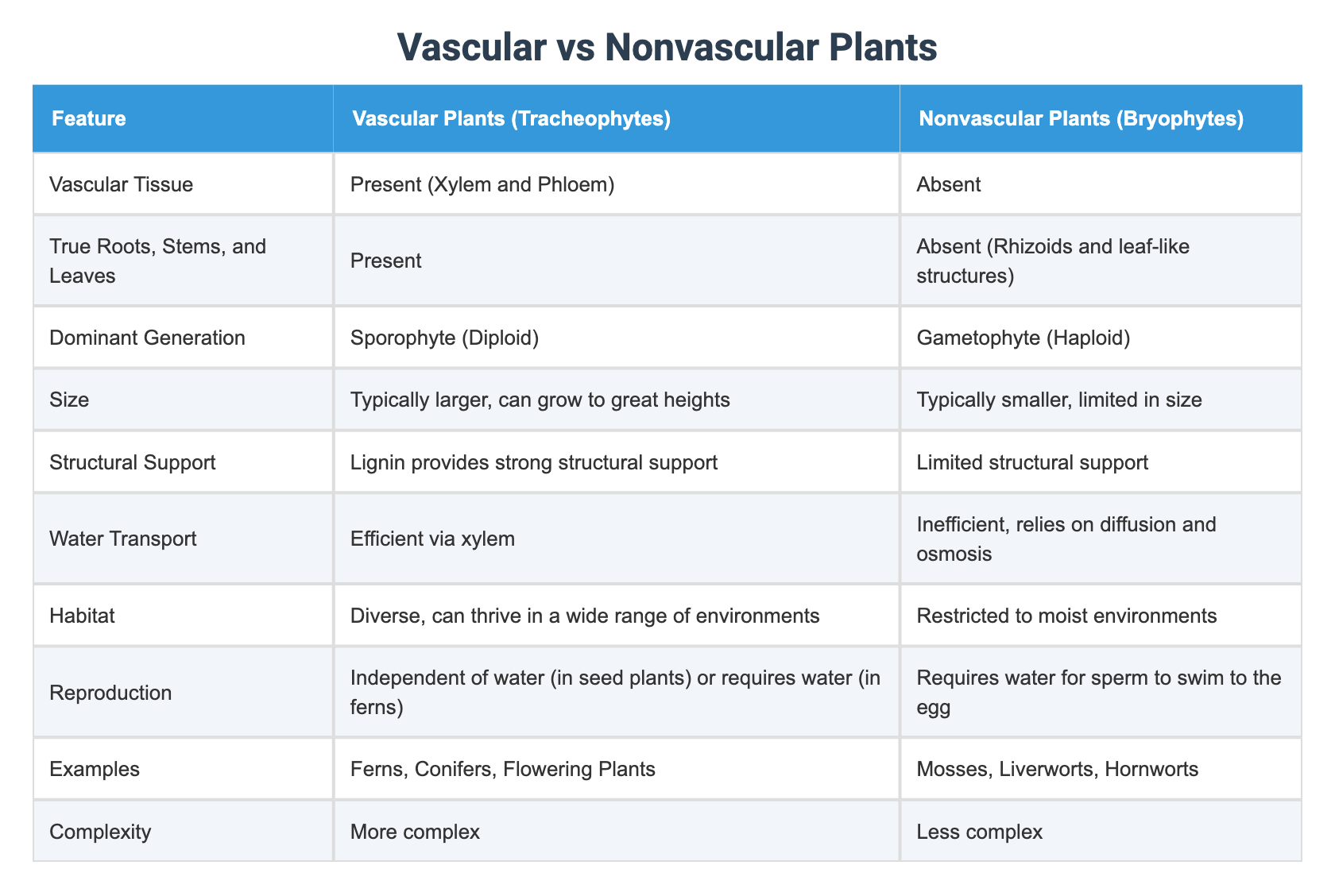 Vascular vs Nonvascular Plants