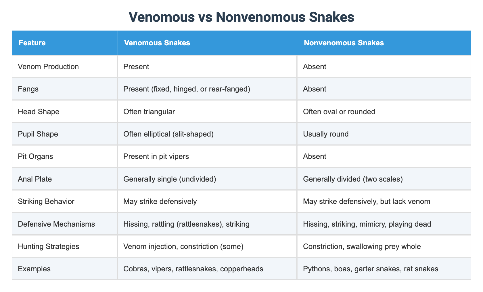 Venomous vs Nonvenomous Snakes