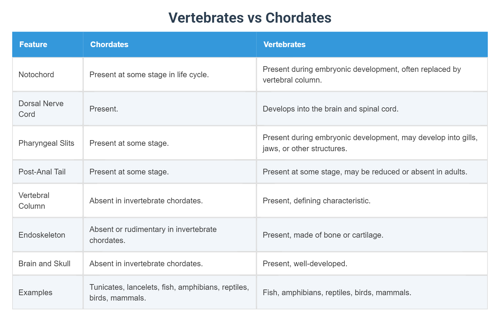 Vertebrates vs Chordates