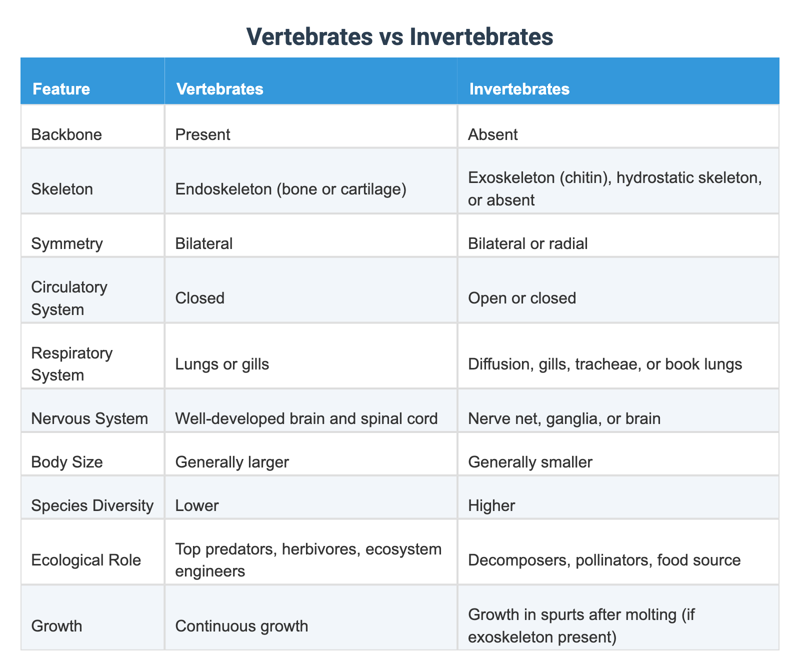 Vertebrates vs Invertebrates