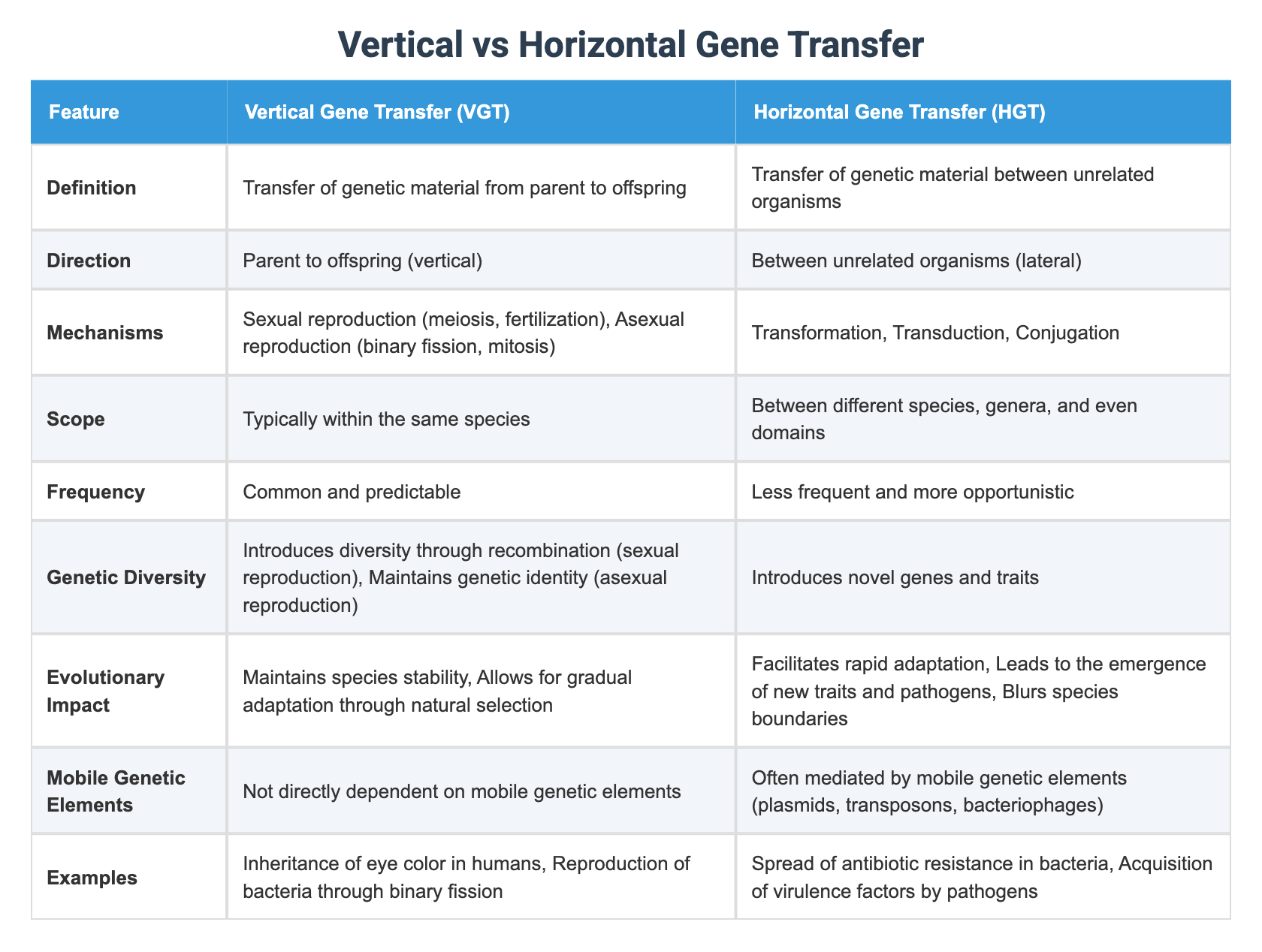 Vertical vs Horizontal Gene Transfer