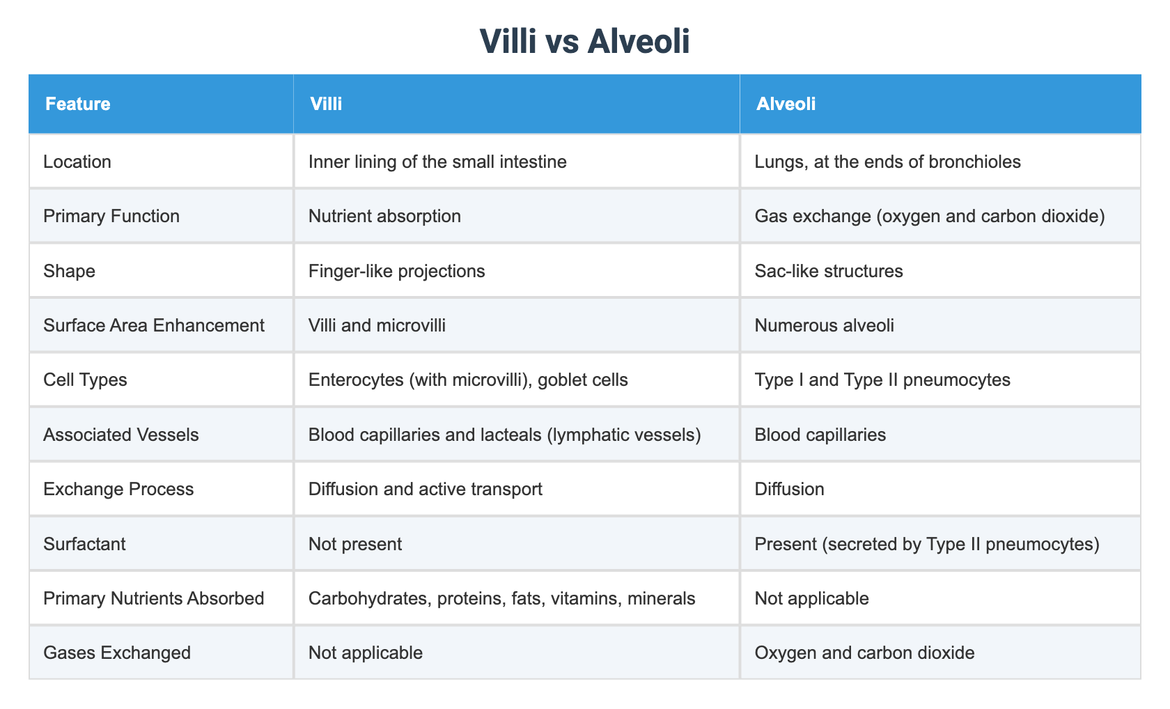 Villi vs Alveoli