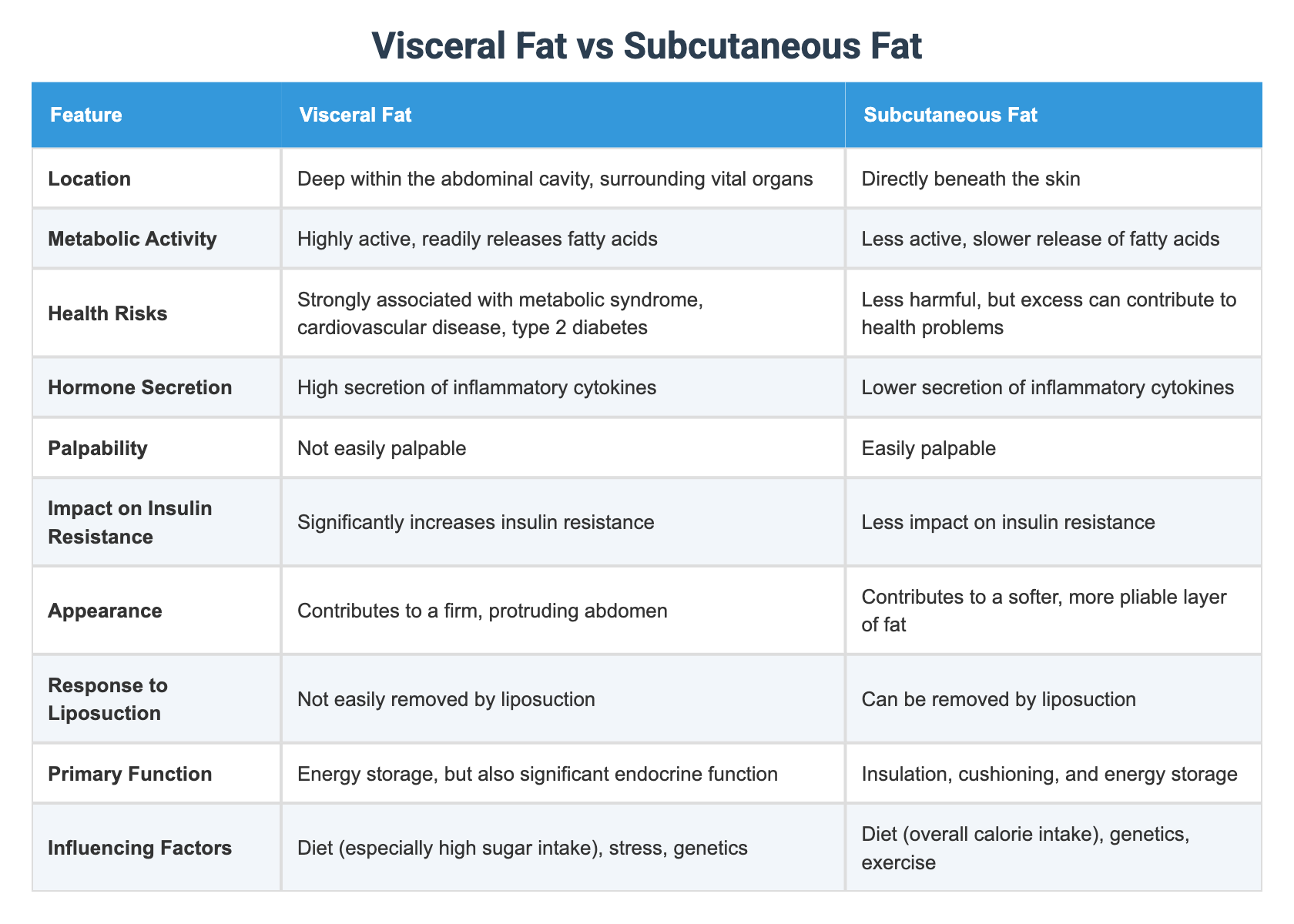 Visceral Fat vs Subcutaneous Fat