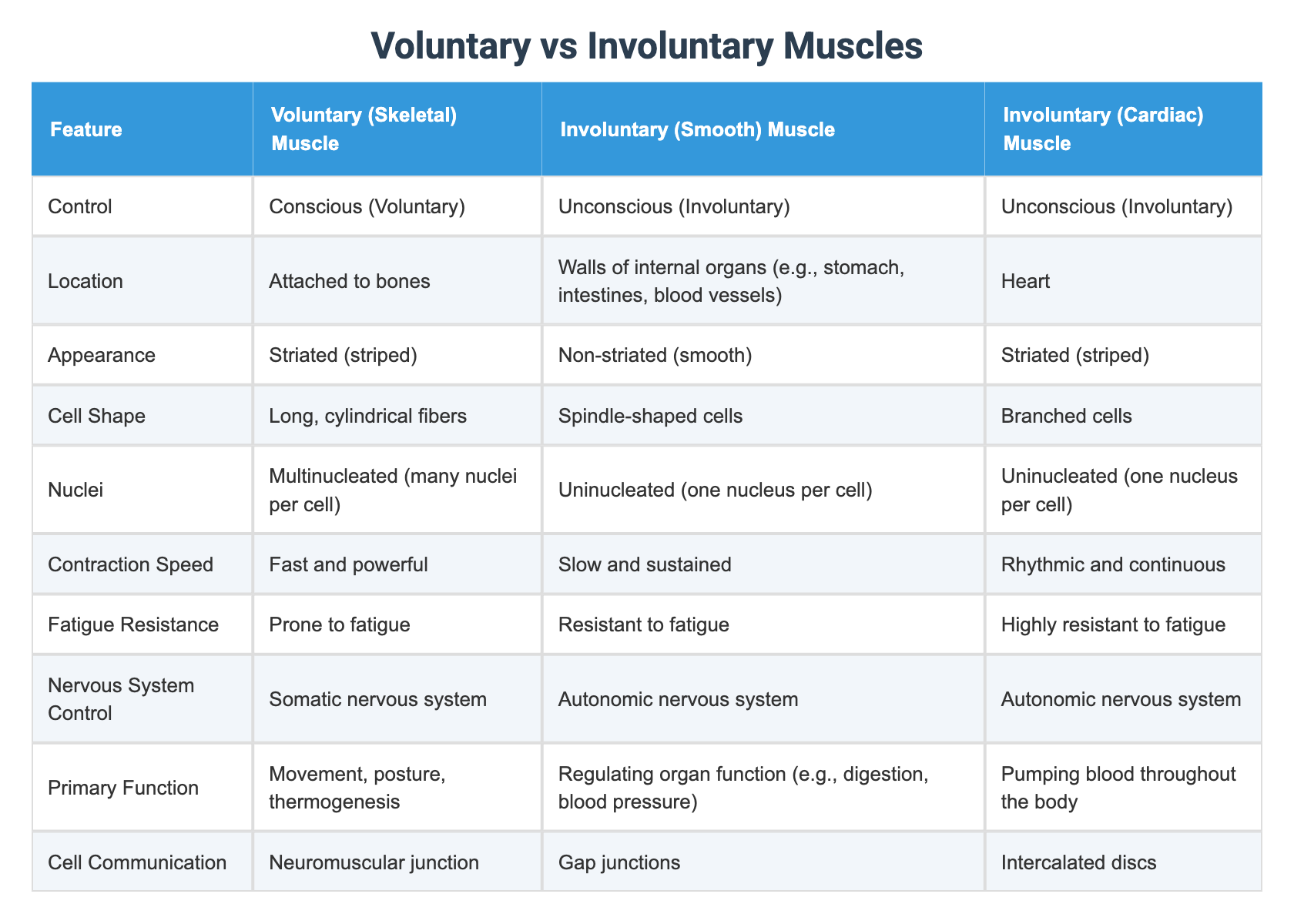 Voluntary vs Involuntary Muscles