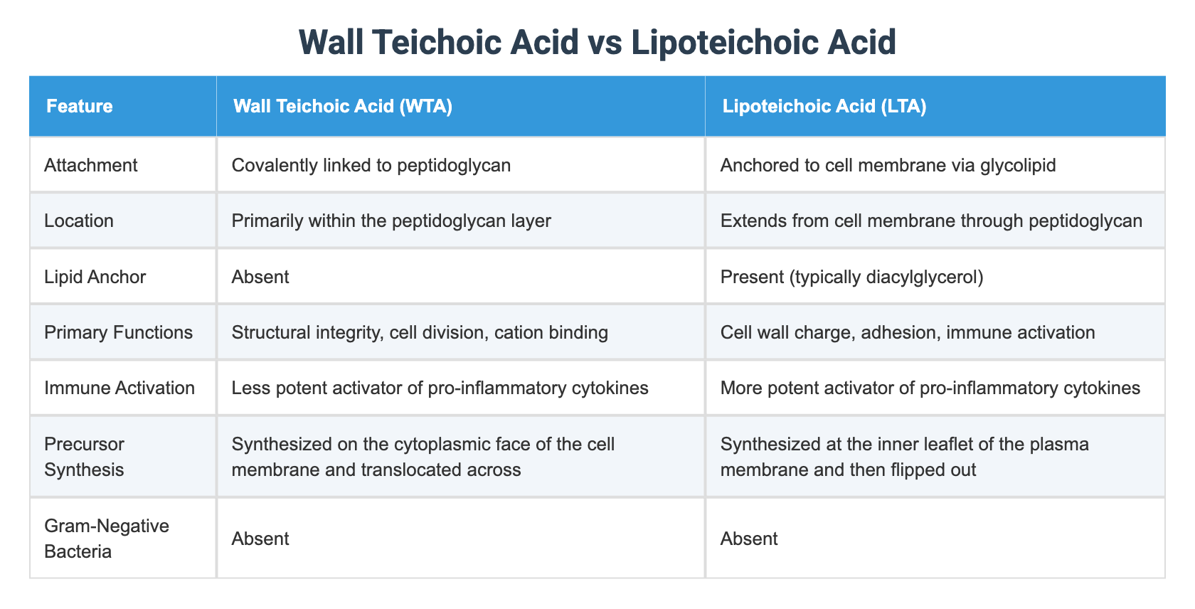 Wall Teichoic Acid vs Lipoteichoic Acid