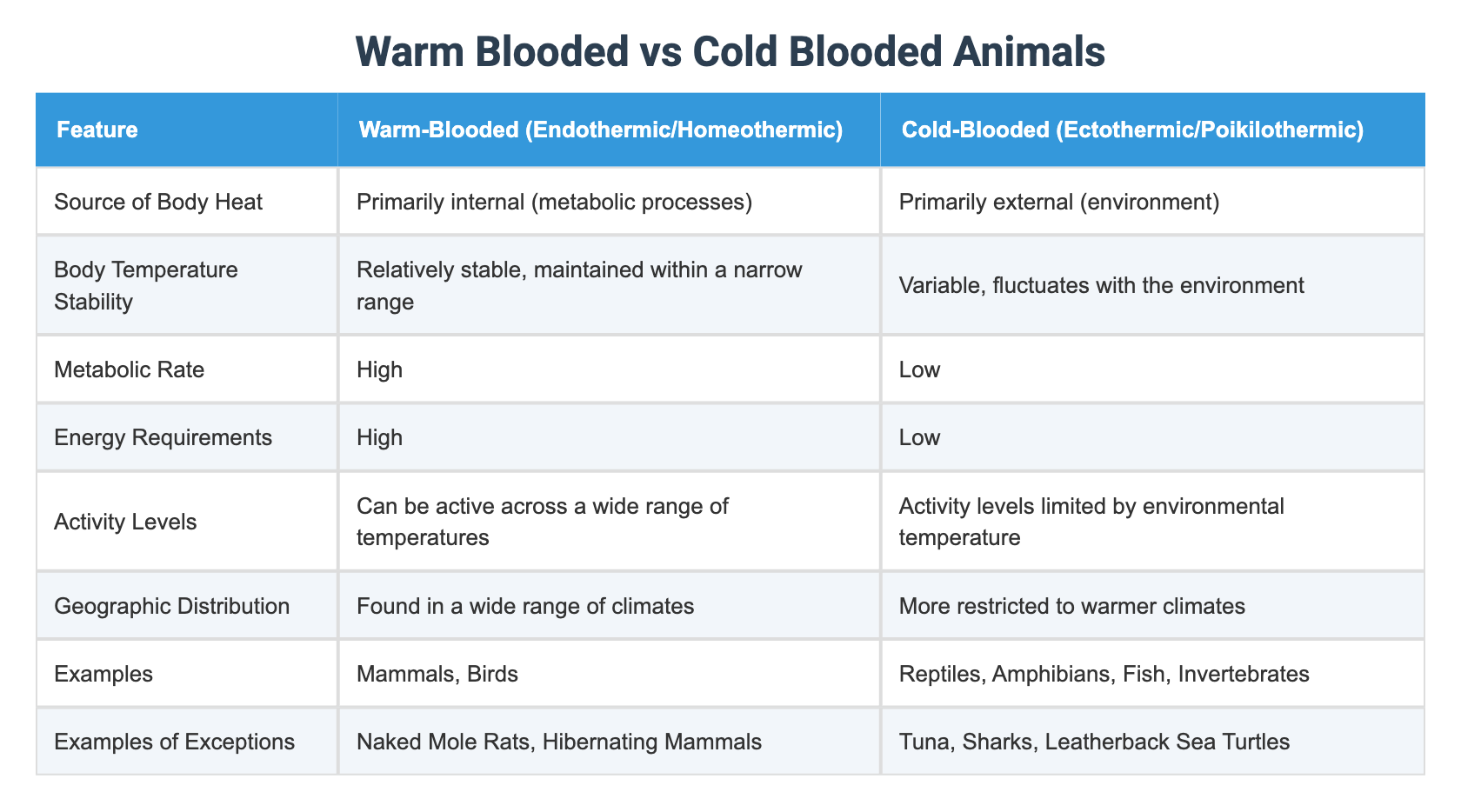 Warm Blooded vs Cold Blooded Animals