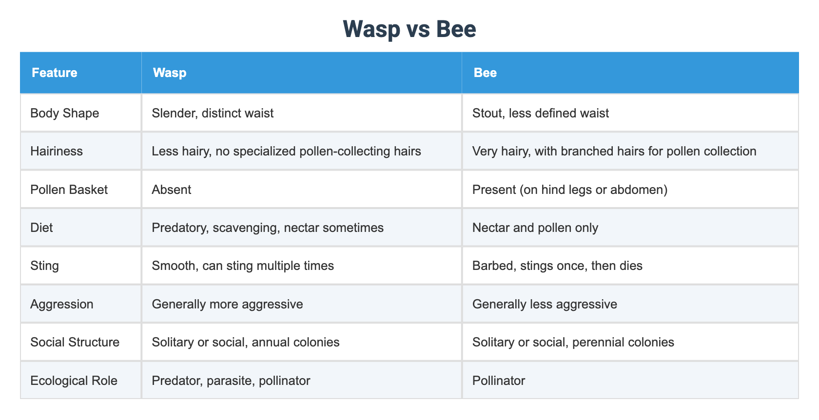 Wasp vs Bee