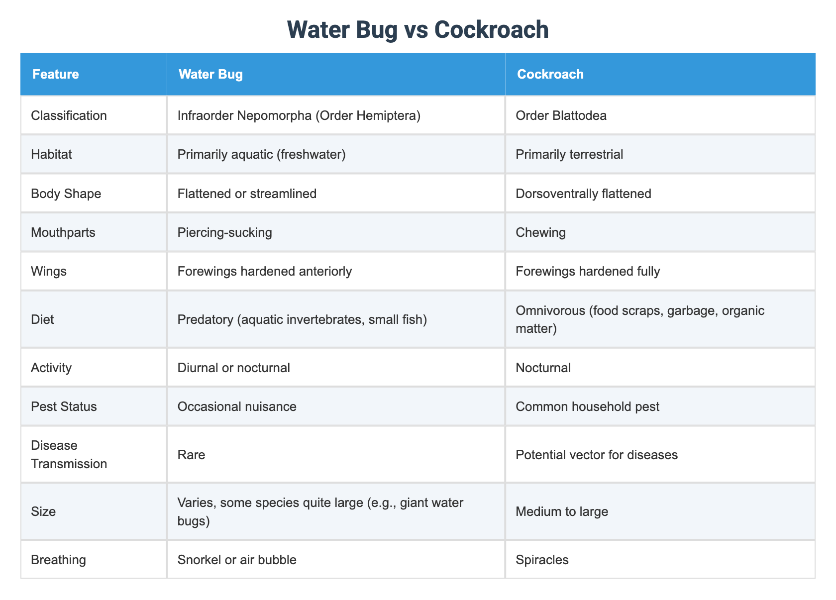 Water Bug vs Cockroach