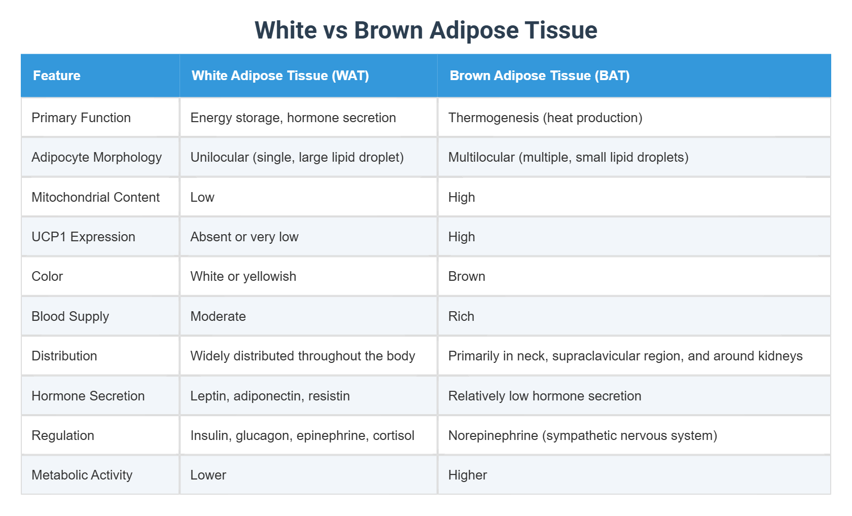 White vs Brown Adipose Tissue