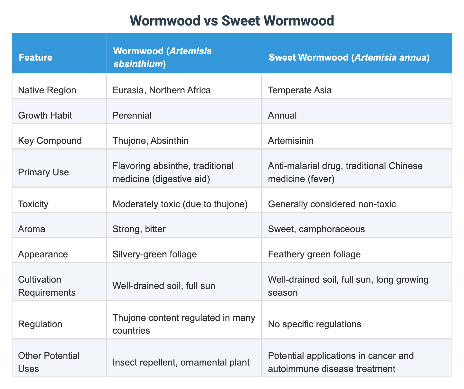 Wormwood vs Sweet Wormwood