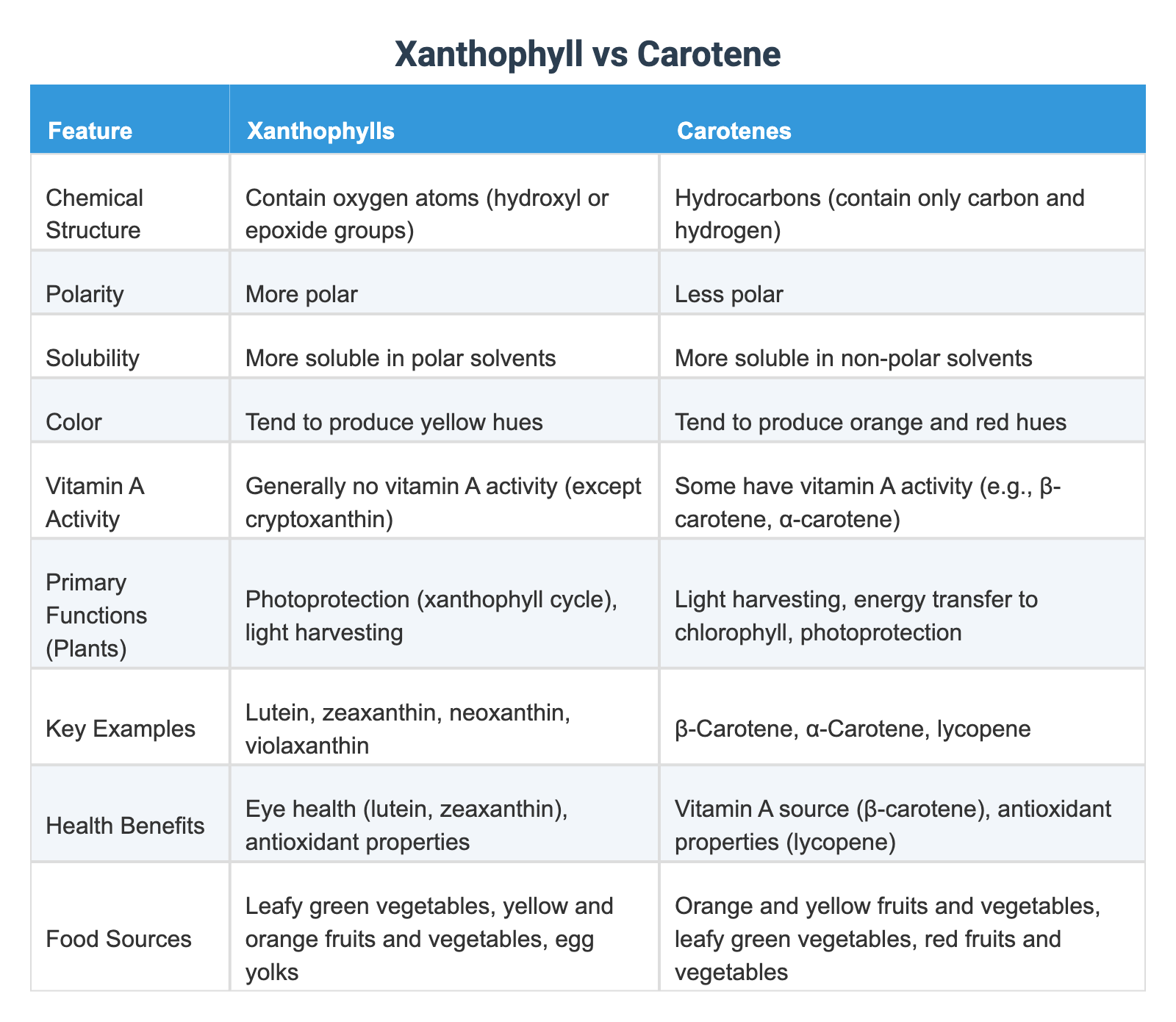 Xanthophyll vs Carotene