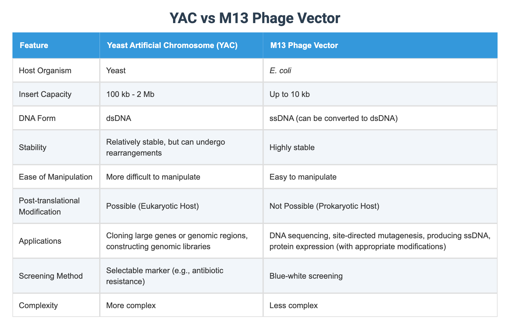 YAC vs M13 Phage Vector