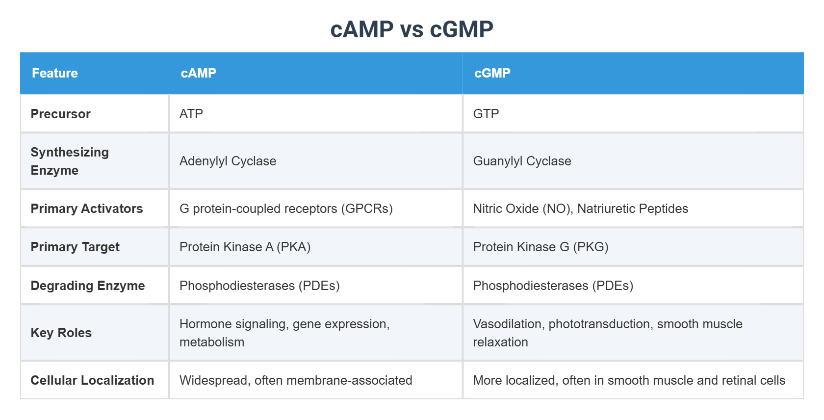 cAMP vs cGMP