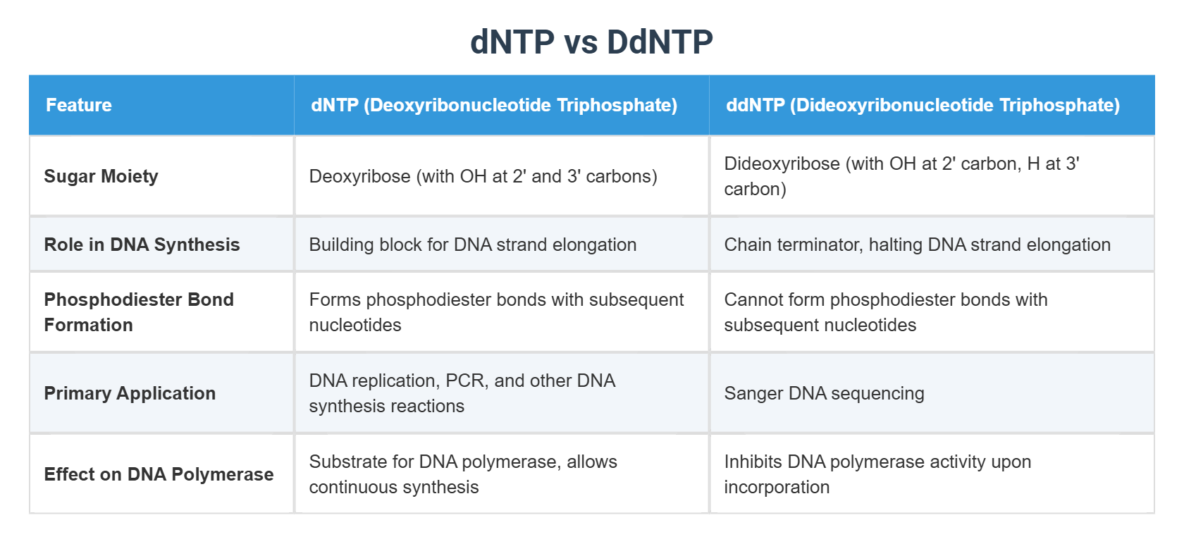 dNTP vs DdNTP
