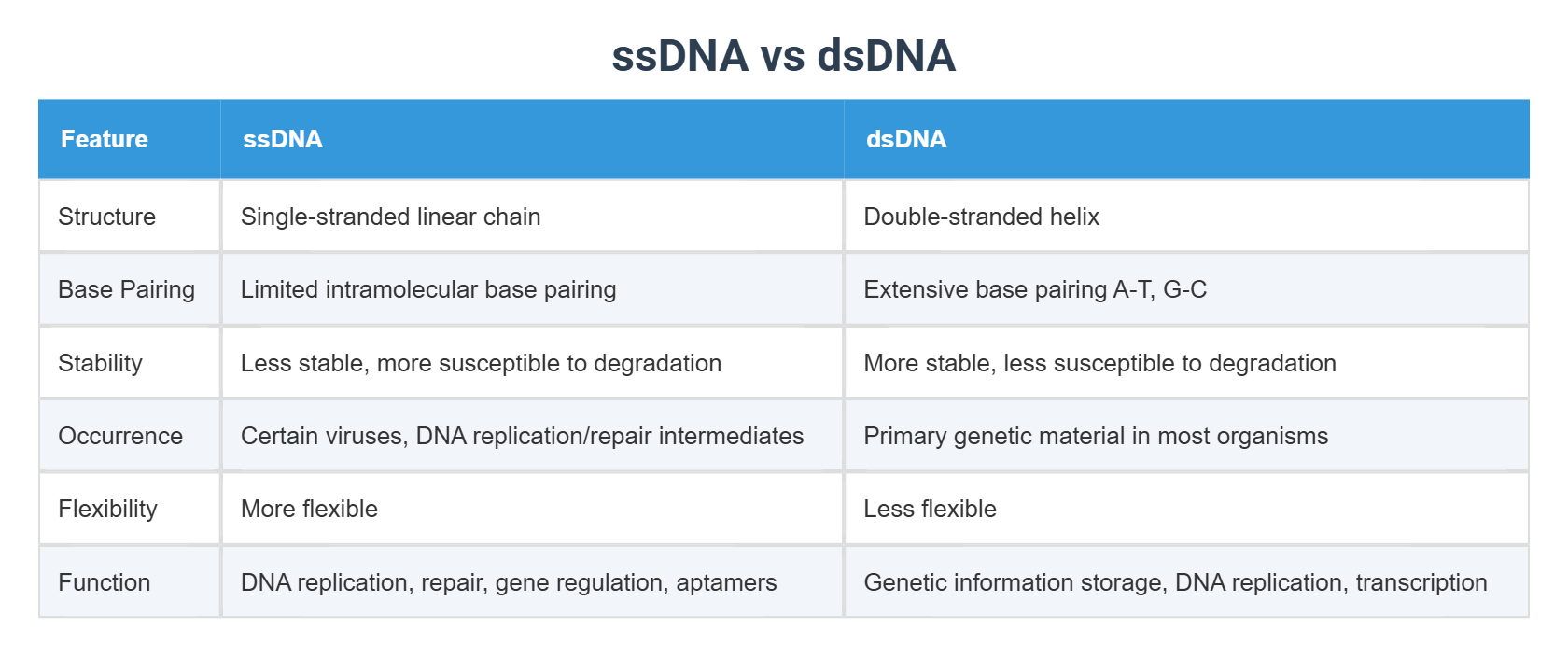 ssDNA vs dsDNA
