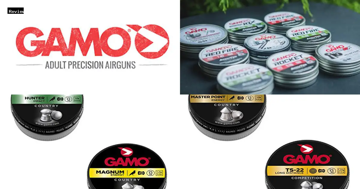 Gamo Combo Pack Assorted Air Rifle Pellets, .22 Caliber (TS-22, Hunter ...