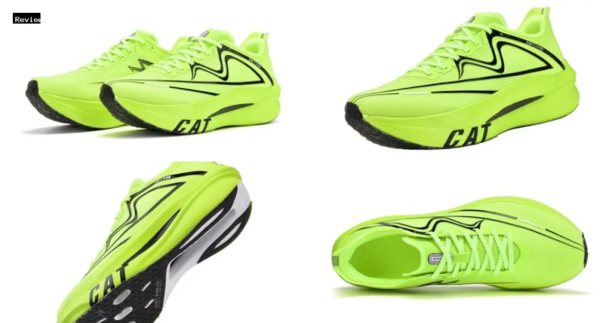 Sonic Cat Shoes Review: Marathon Ready?