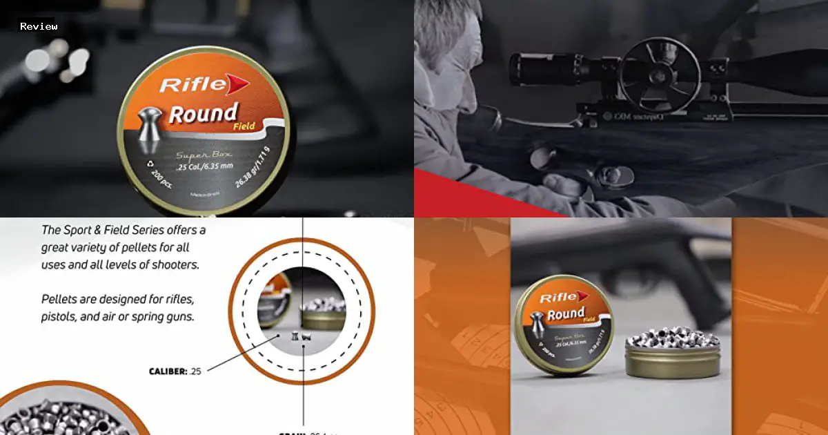 Rifle Field Round Nose Air Gun Pellets | .25 Caliber | 26.4 gr ...