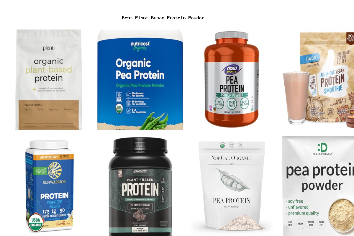 Best Plant Based Protein Powder
