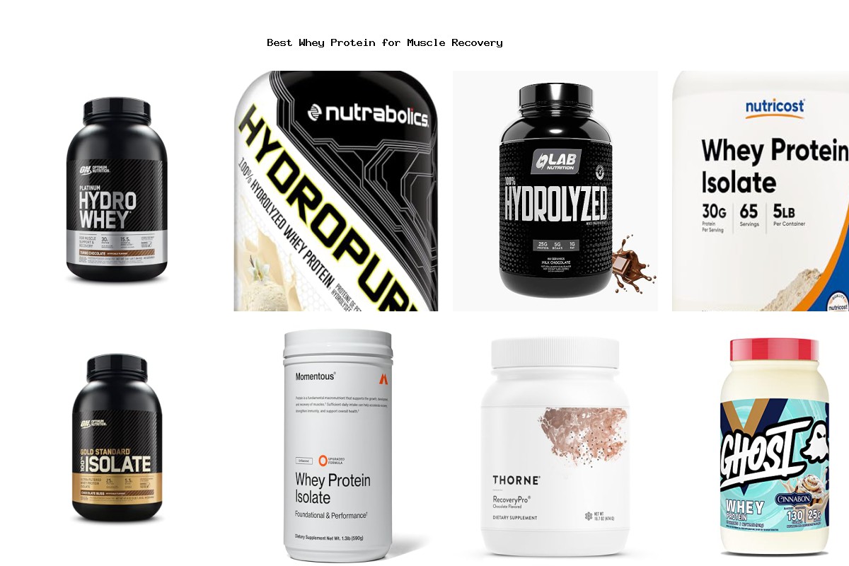 Best Whey Protein for Muscle Recovery