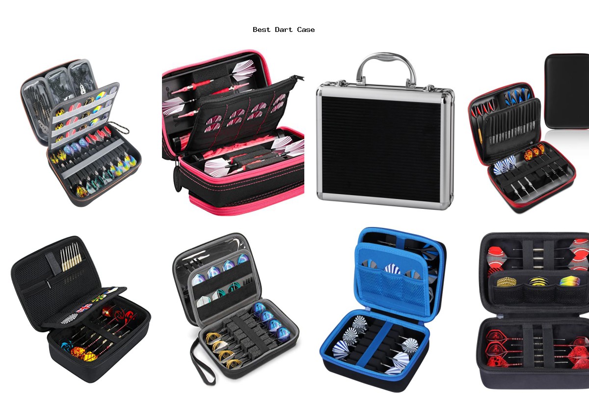 Best Dart Case